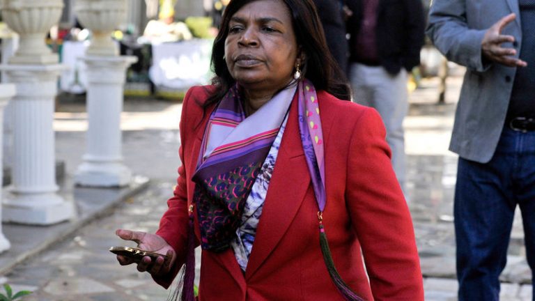 Panel appointed to probe Dina Pule’s conduct – The Mail & Guardian