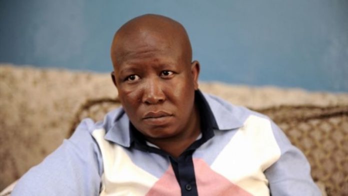 Zuma orders Malema-allies’ tenders to be re-advertised – The Mail ...