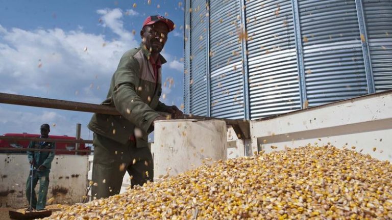 Farming problems are clear but the solutions are not – The Mail & Guardian