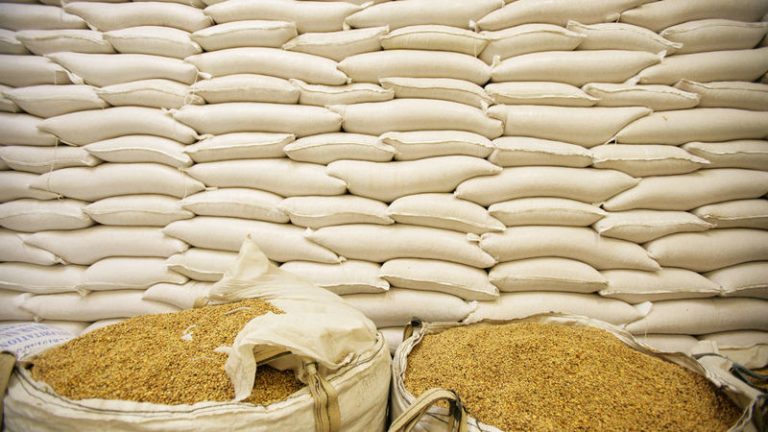 What Zimbabwe’s maize import ban means for SA farmers and exporters ...