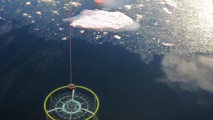 Why iron can’t solve the climate crisis – The Mail & Guardian