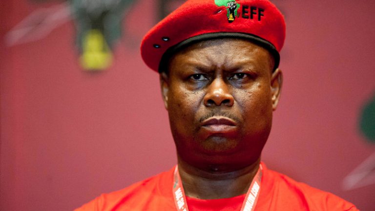 Internecine strife puts EFF unity at risk – The Mail & Guardian