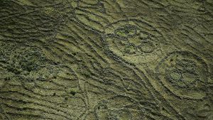 The Bokoni story unearthed – The Mail & Guardian