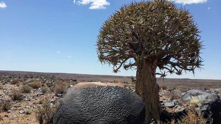 The storyteller’s map: A journey to the land of the |Xam Bushmen – The ...