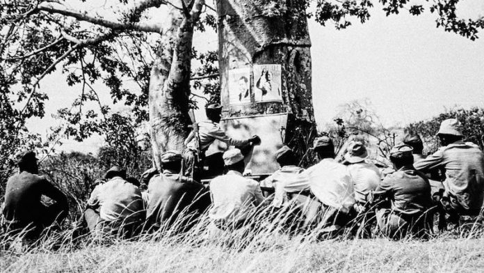 Tales from the armed struggle: There were heroes in MK but villains ...