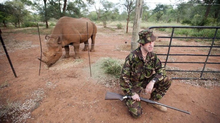 Poaching prevention – success in some areas, failure in others – The ...