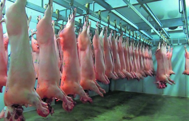 Anna Phosa is living her dream of becoming a successful pig farmer ...