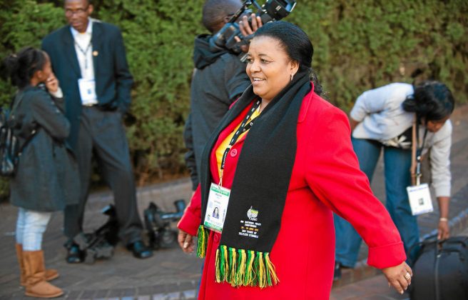 Molewa’s brood thicker than water? – The Mail & Guardian