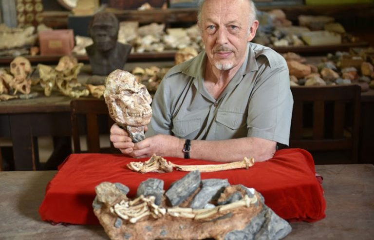 Little Foot: World’s oldest complete skeleton unveiled at Wits – The ...