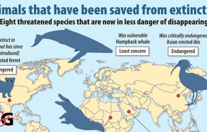 Climate change claims its first mammal extinction – The Mail & Guardian