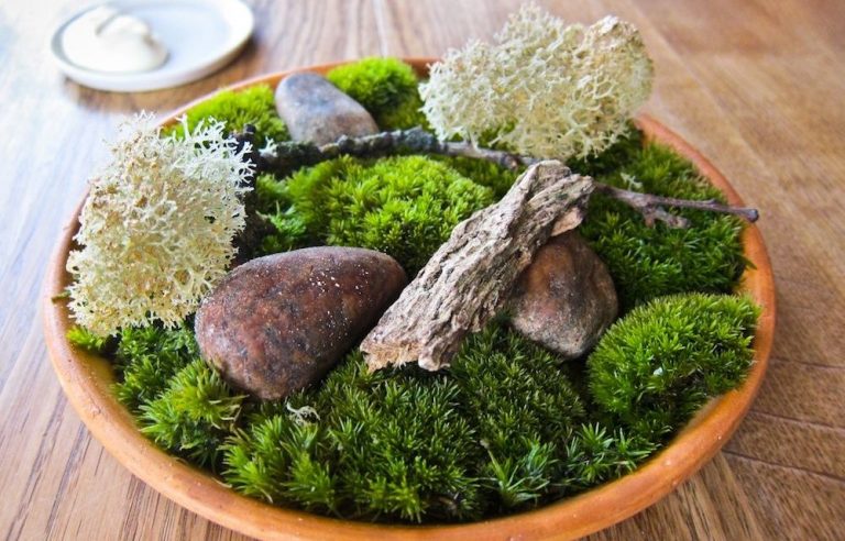 Noma, asseblief – The Mail & Guardian