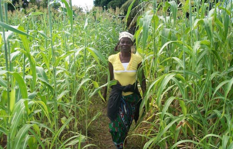 Seven facts about the Restitution of Land Rights Act – The Mail & Guardian