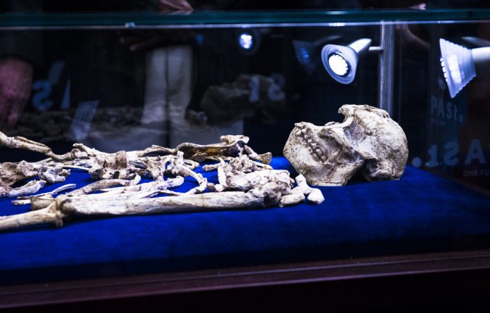 Little Foot: Two assistants credited for finding ‘needle in haystack ...