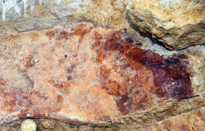 Fossilised Europasaurus bones discovered in Germany – The Mail & Guardian