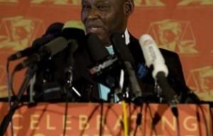 Radebe backs Mpshe as acting judge – The Mail & Guardian