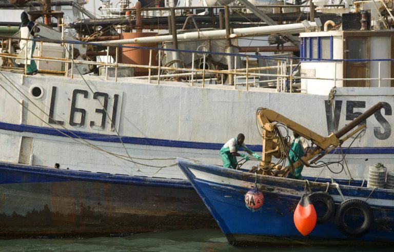 Namibian fishing industry cries foul as quota handed to international ...