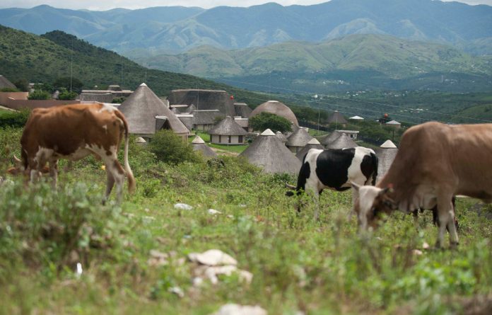 How to waste R155m on Zuma’s Nkandla homestead – The Mail & Guardian