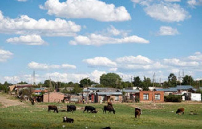 How to grow communal land use – The Mail & Guardian