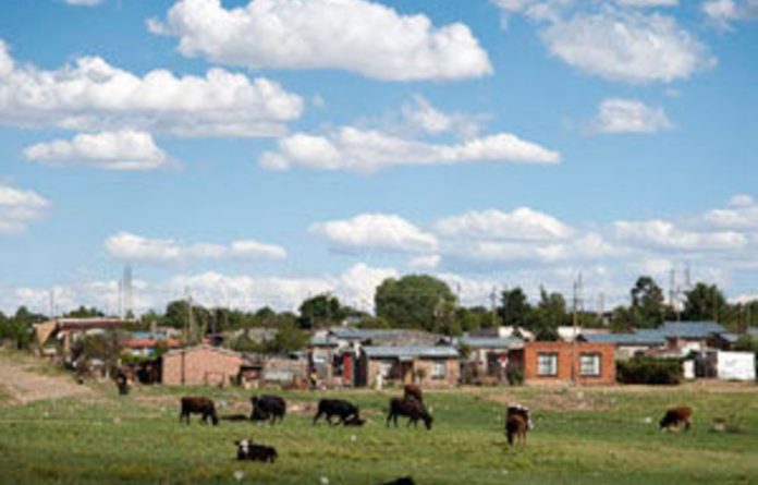 How to grow communal land use – The Mail & Guardian