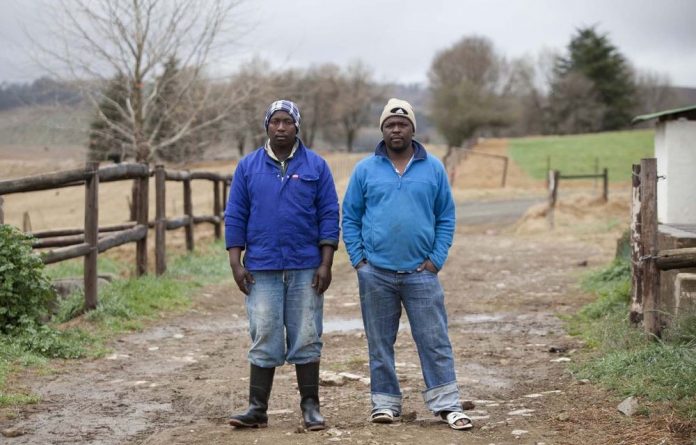 Story of an African farm murder – The Mail & Guardian