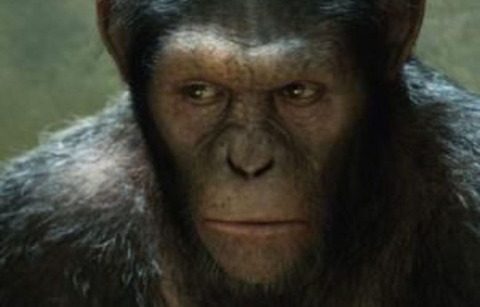 No more business for monkeys – The Mail & Guardian