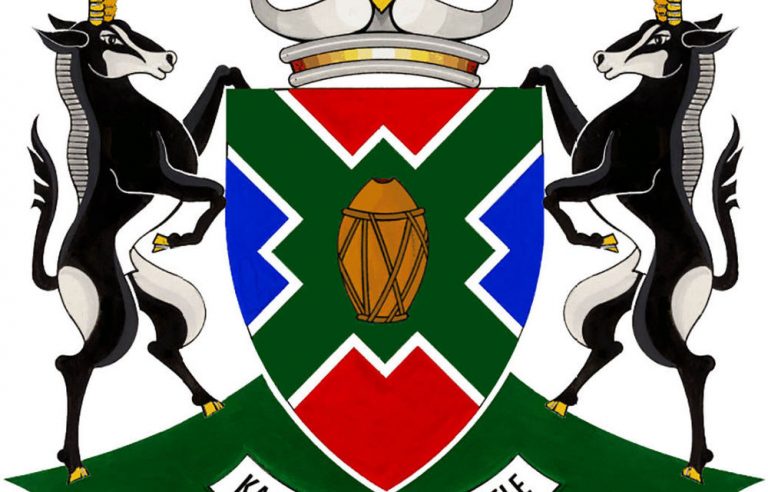 Skills development for traditional leaders – The Mail & Guardian