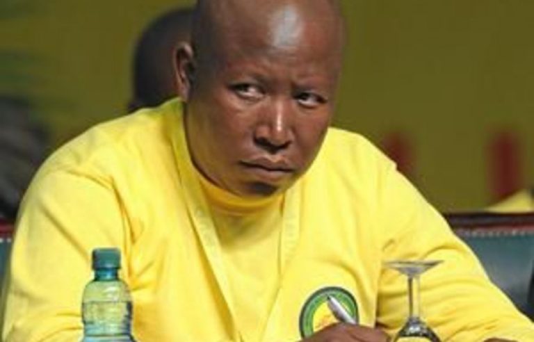 ANCYL congress off to a positive start – The Mail & Guardian
