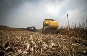 The good and bad of farming – The Mail & Guardian