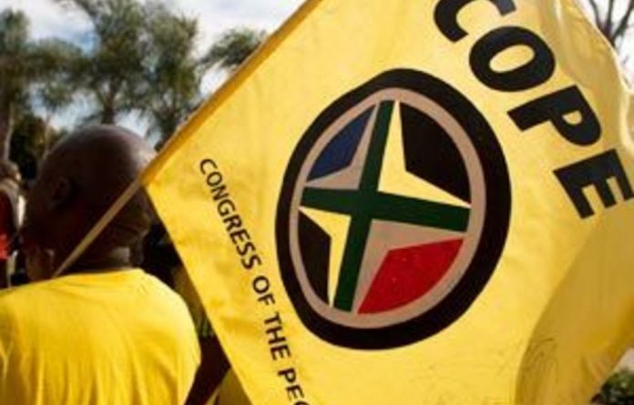 Cope crumbles as party leaders turn on each other – The Mail & Guardian