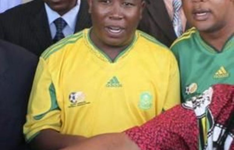 ANC Youth League court challenge withdrawn – The Mail & Guardian