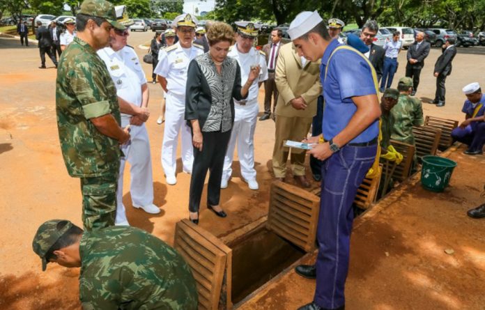 WHO declares Zika virus a global health emergency – The Mail & Guardian