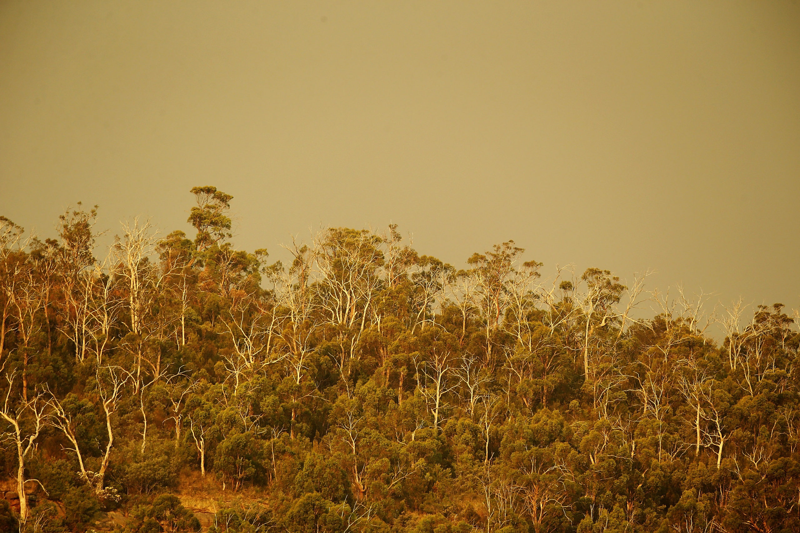 Australian ‘megablaze’ brought under control – The Mail & Guardian