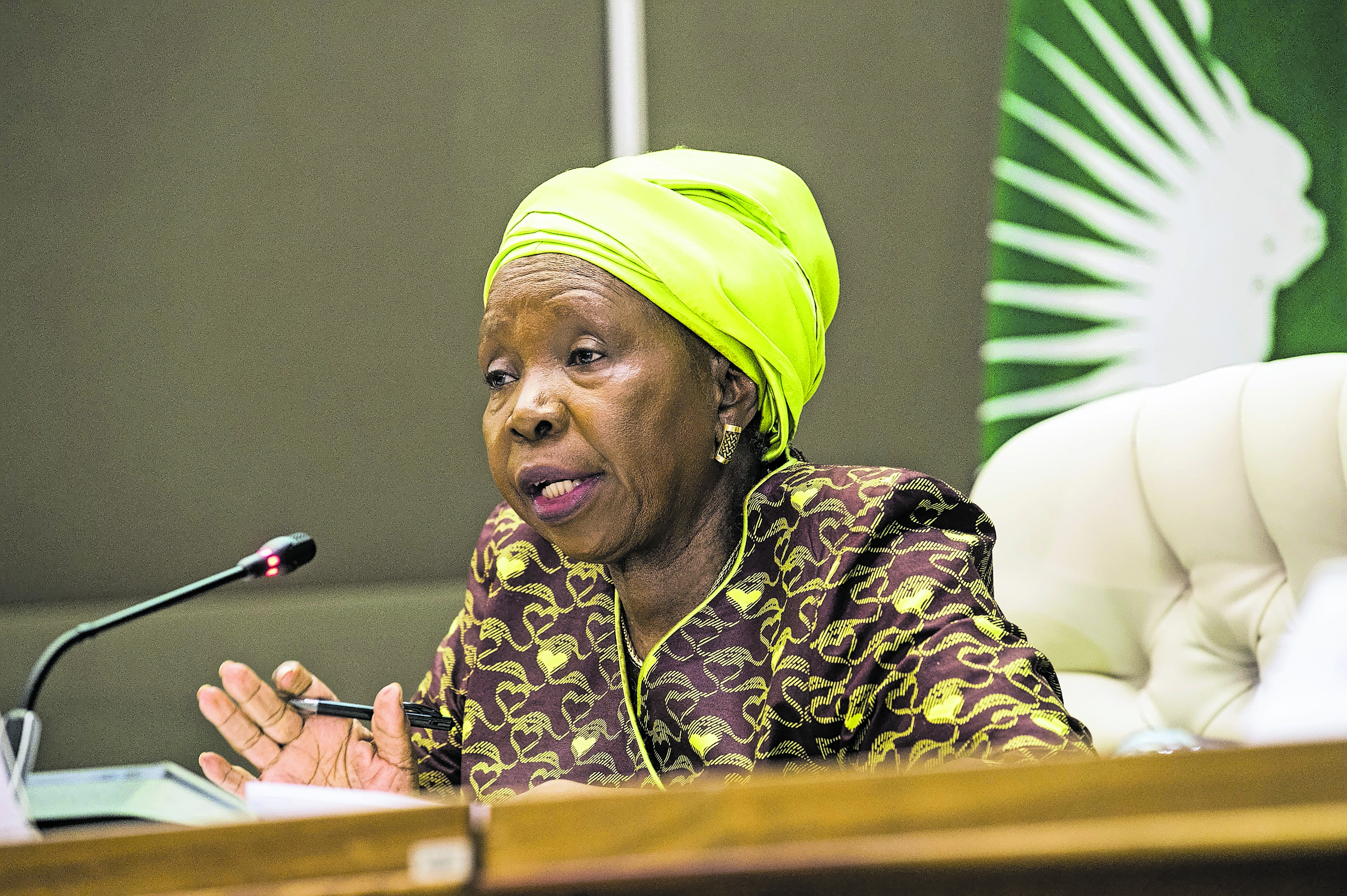 Batsa fires back in response to Dlamini-Zuma’s appeal – The Mail & Guardian