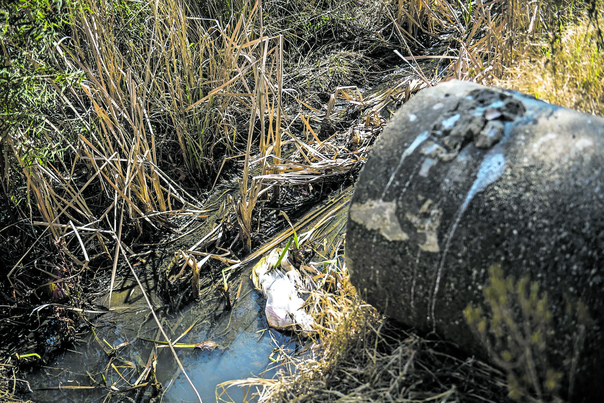 Sewage still flows into ‘Poo Lake’ – The Mail & Guardian