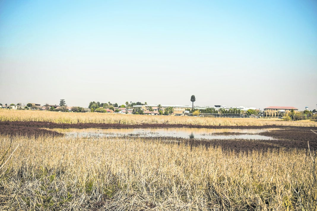 Sewage still flows into ‘Poo Lake’ – The Mail & Guardian