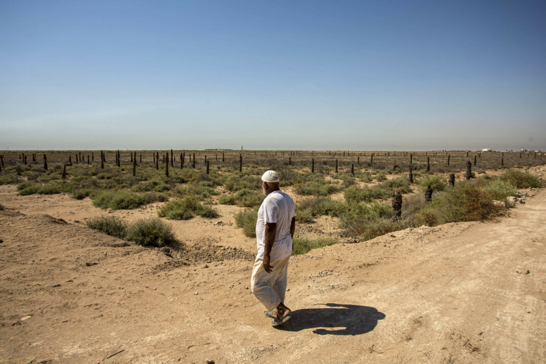 Iraqi rivers under threat from dams in Iran and Turkey – The Mail ...