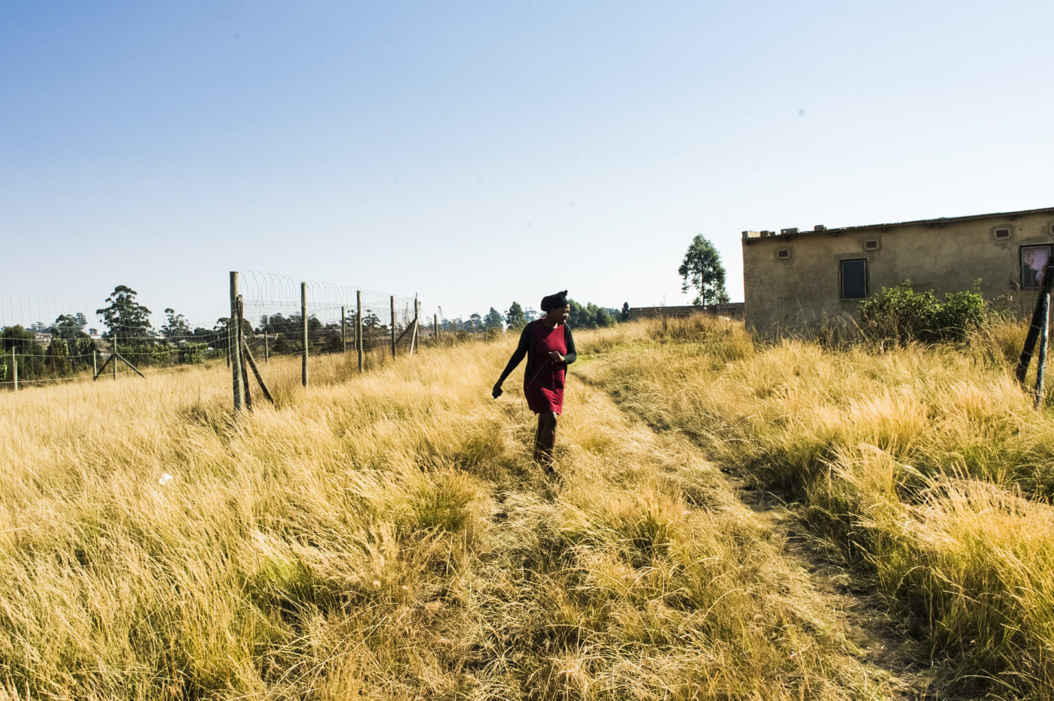 Finance probe into the Ingonyama Trust Board goes ahead – The Mail ...