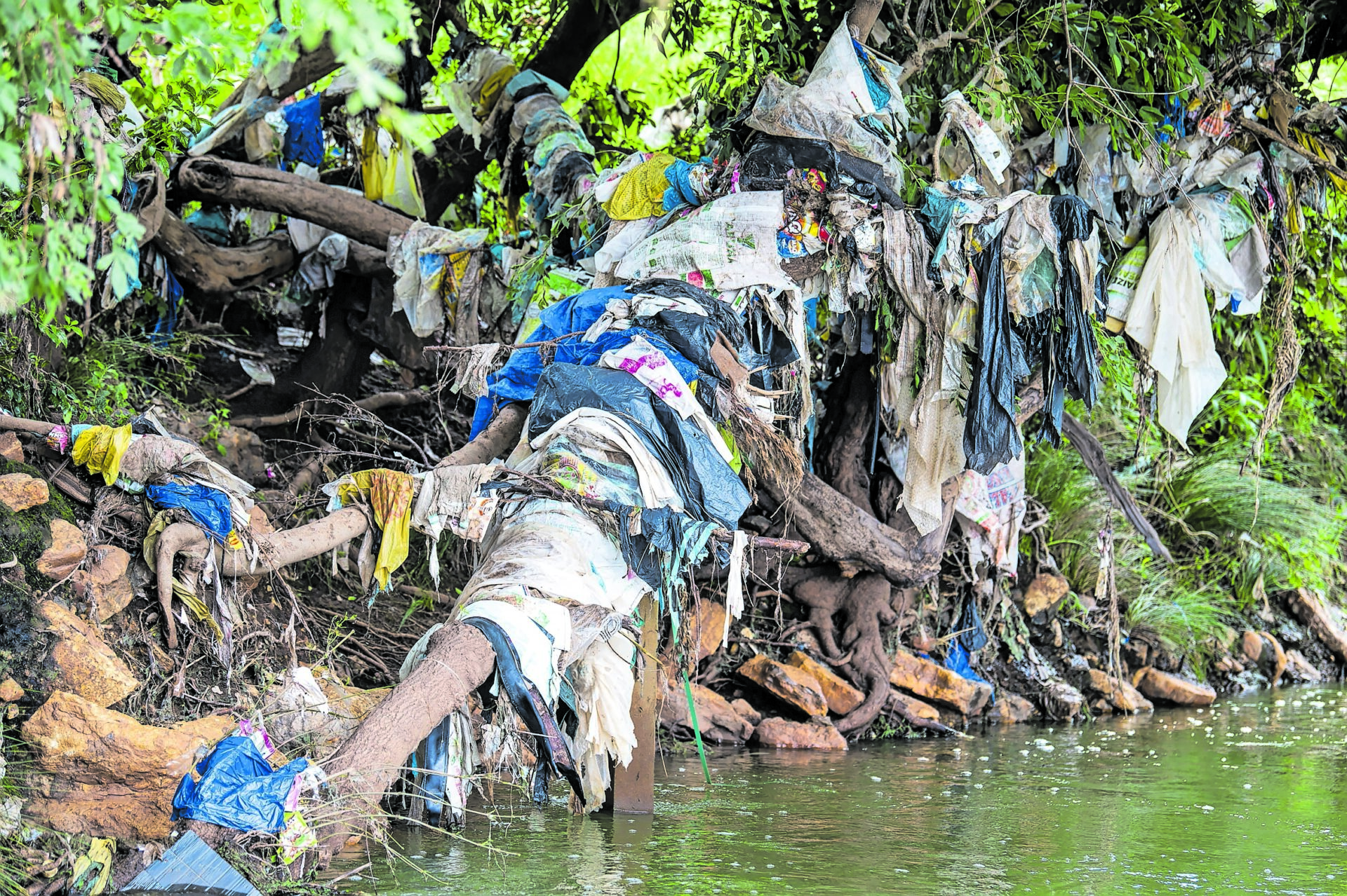 There is shit in the Hennops River: ‘No way you can call this water ...