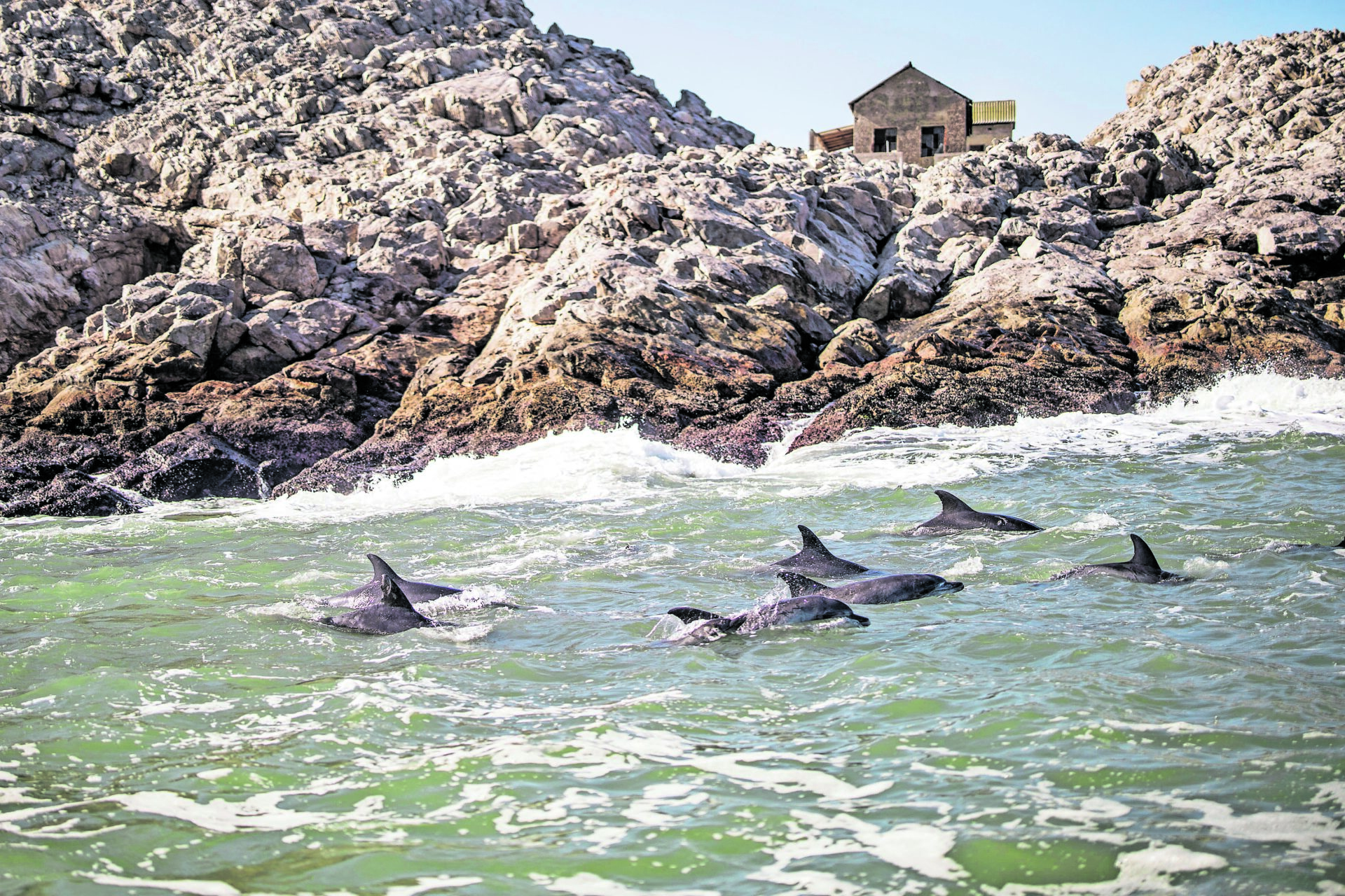 Algoa Bay now a whale heritage site – The Mail & Guardian