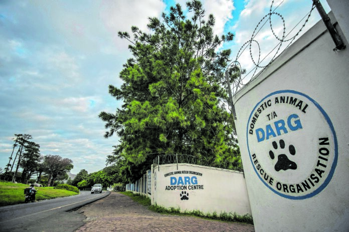 Do animals trump people at Darg? – The Mail & Guardian