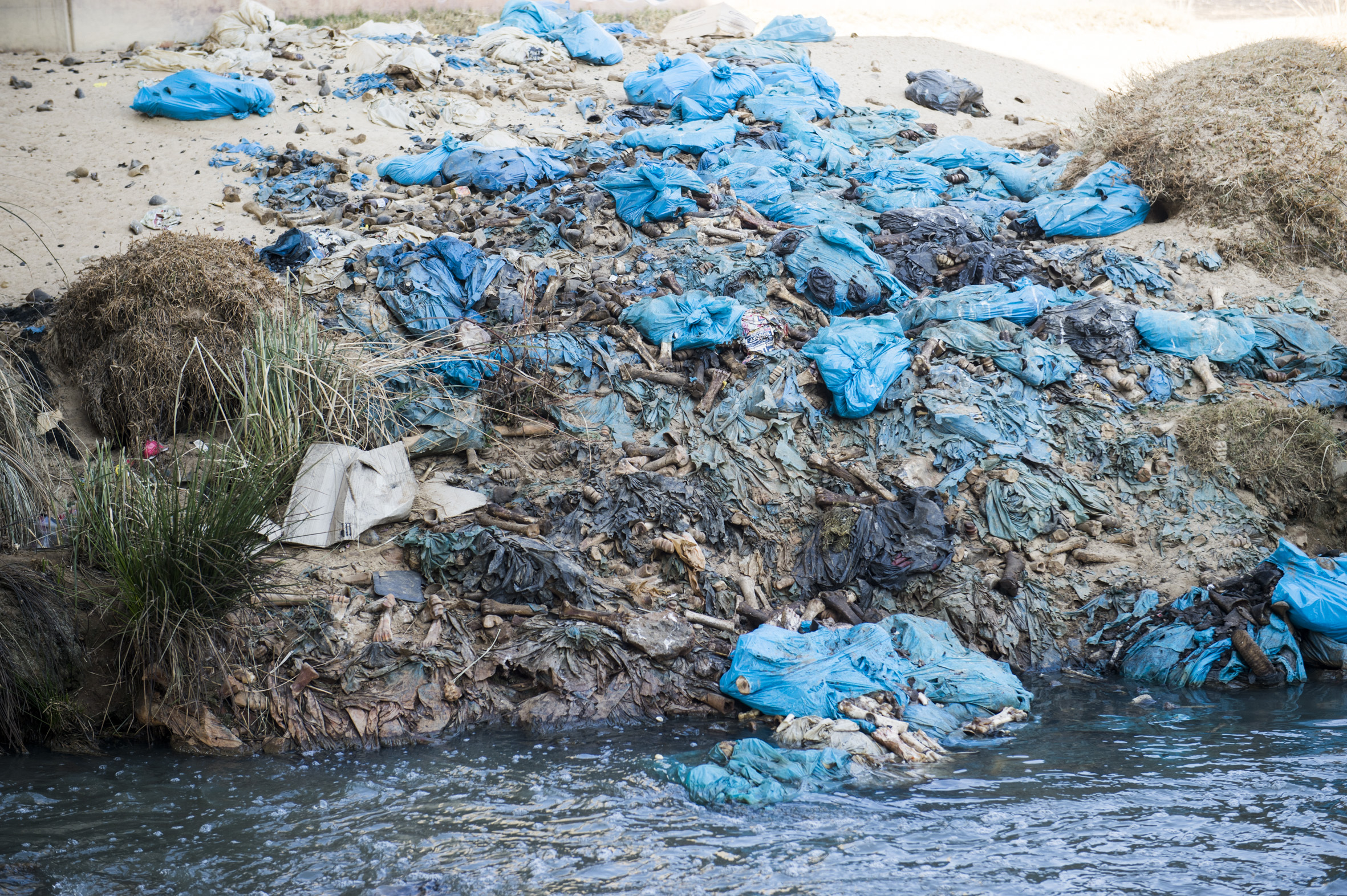 Water, air and soil pollution is spawning deadly superbugs – The Mail ...