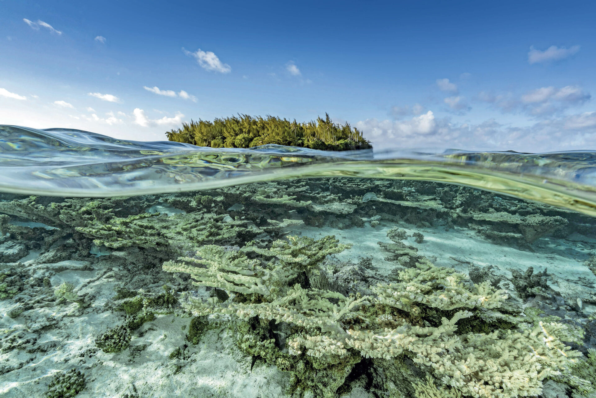 Ocean climate changes a threat to sea life – The Mail & Guardian