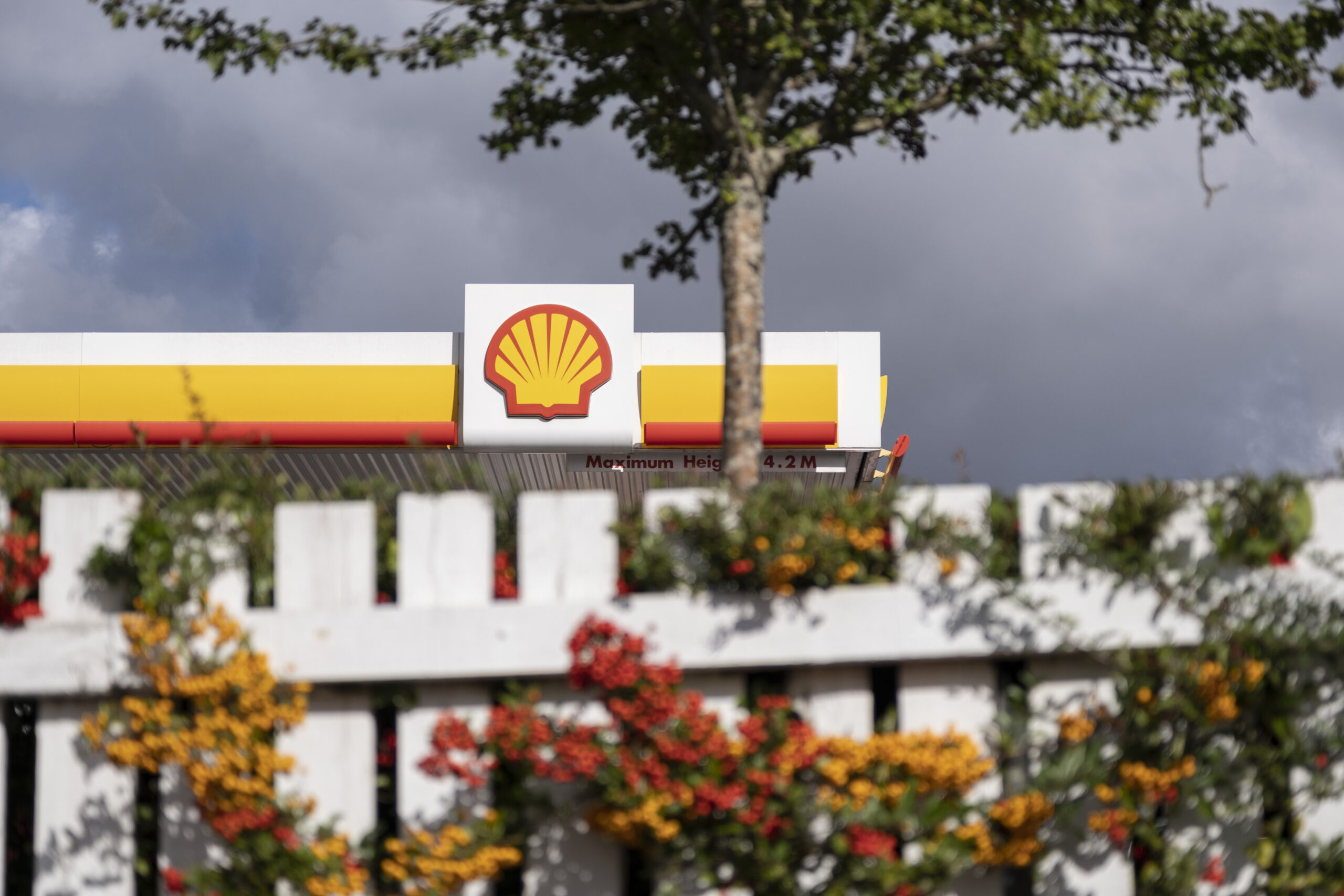 Shell gets go-ahead to proceed with seismic blasting on the Wild Coast ...