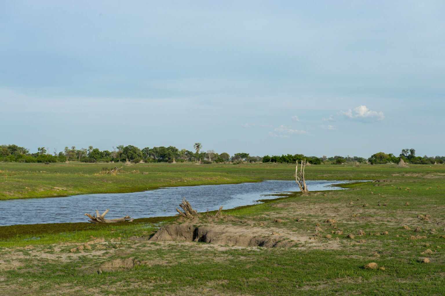 Science’s burning questions about the Okavango River Basin are answered ...