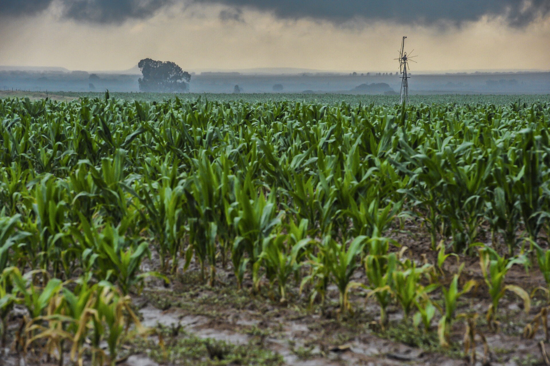 Drought-hit Southern Africa’s growth lags – The Mail & Guardian
