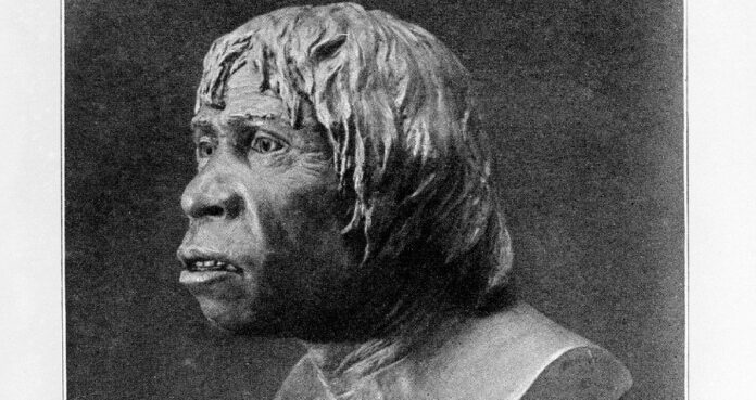 Three suspects behind the Piltdown Man fossil hoax – The Mail & Guardian