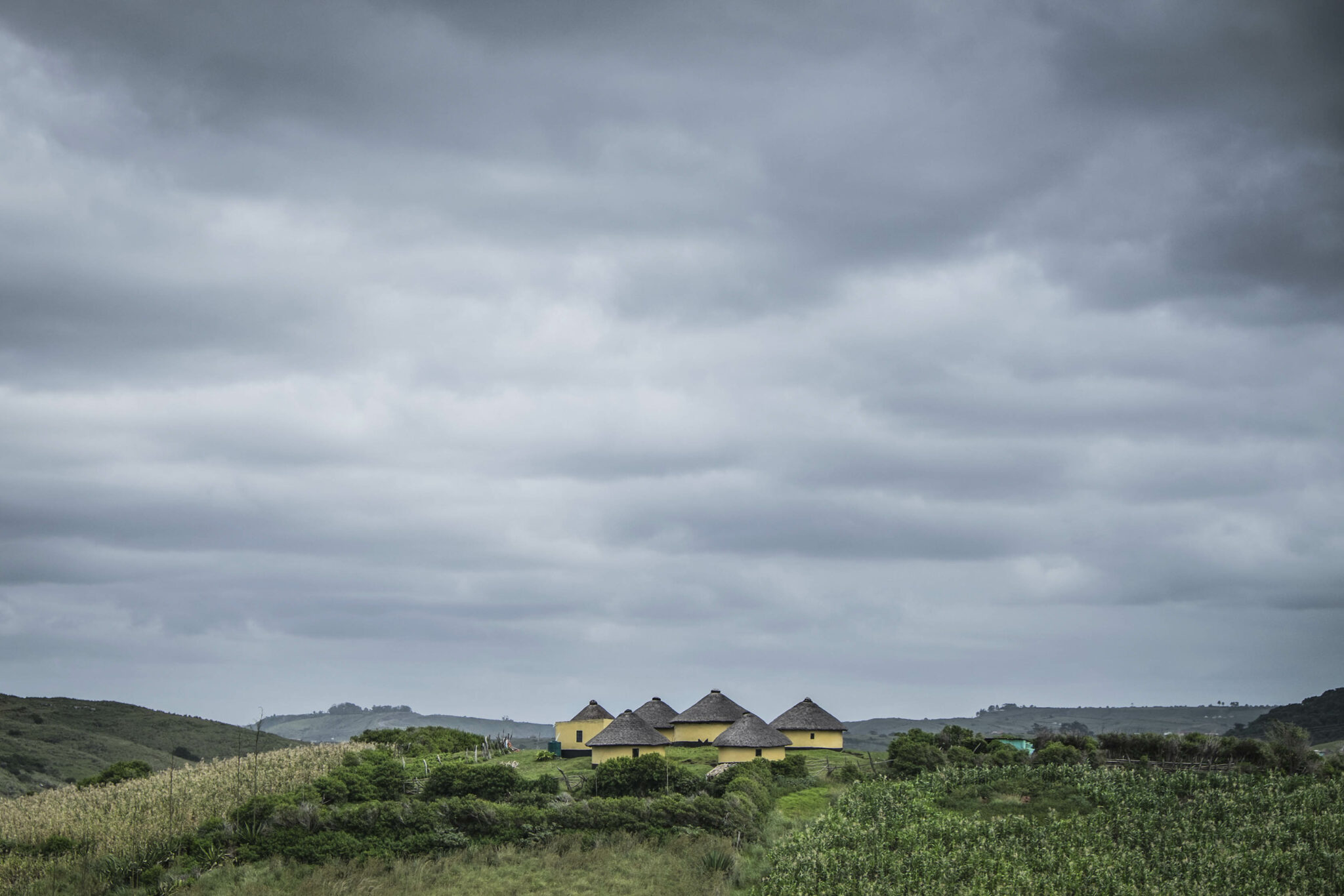 Legislative change brings pain for Pondoland cannabis farmers – The ...