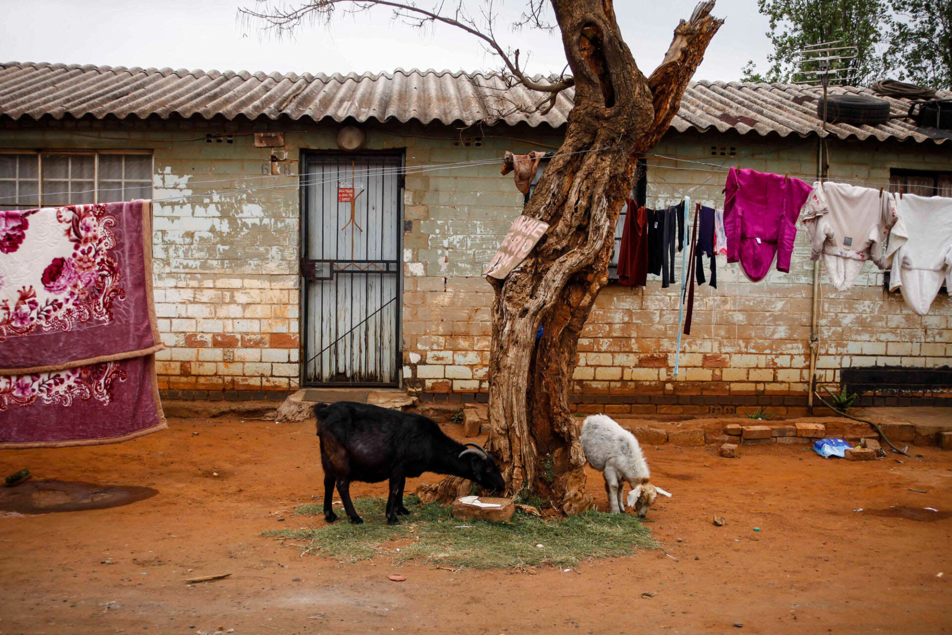 Light on the horizon for Soweto’s hostels – The Mail & Guardian