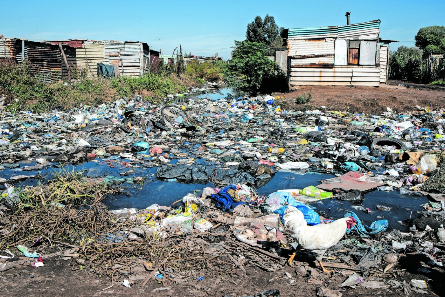 Sewage still flowing into the Vaal River destroys homes, livelihoods ...