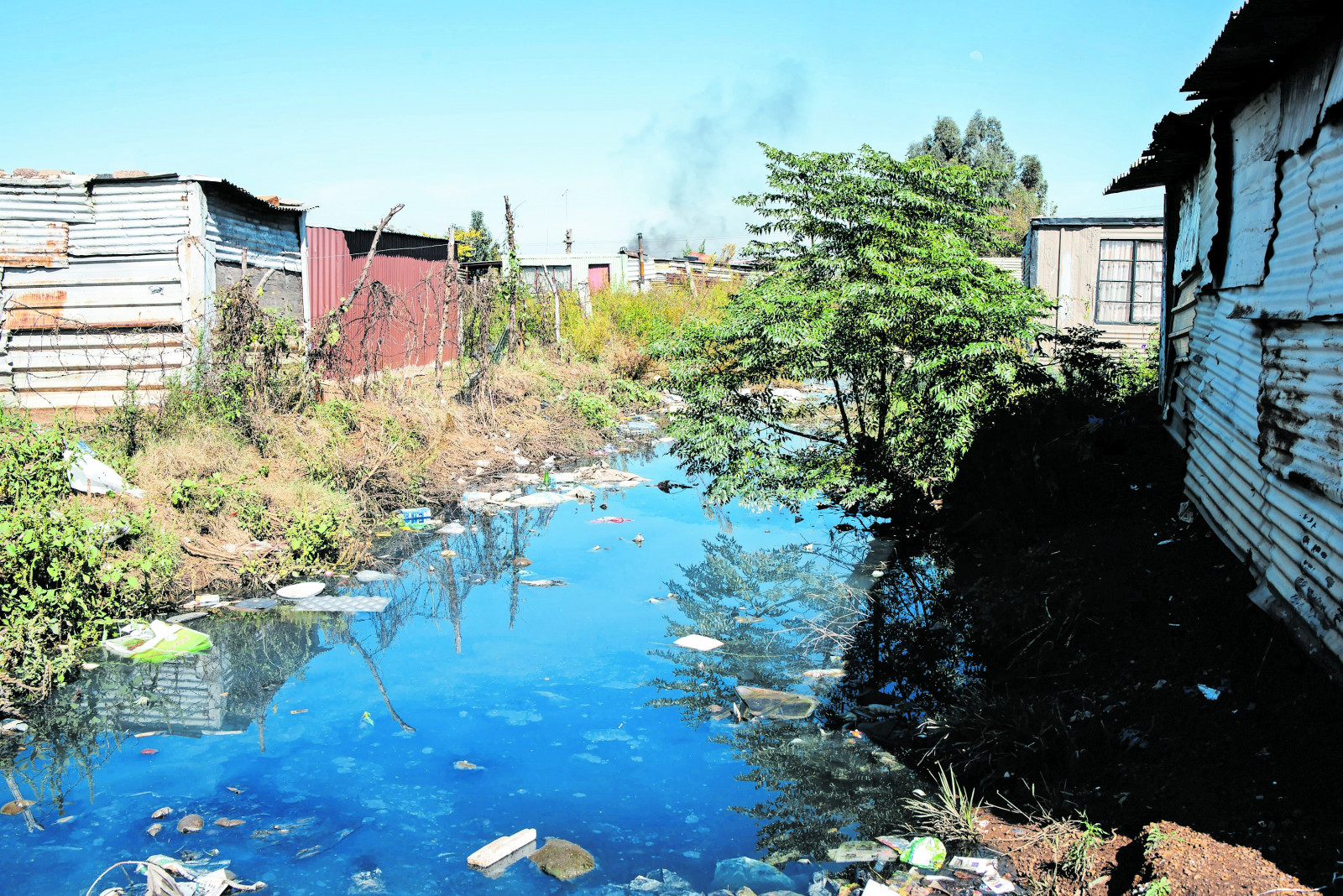 Sewage still flowing into the Vaal River destroys homes, livelihoods ...